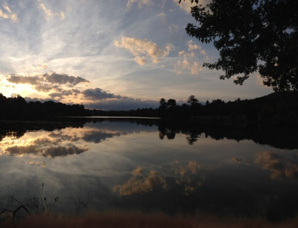 A Wall of Gems - David Bollt